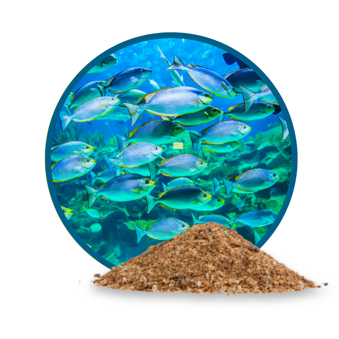 Magik De-Oiled Rice Bran | Ab Udyog